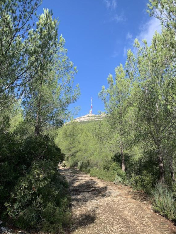 Petite rando pédagogique en colline au pied de la Grande Étoile | Eté ...